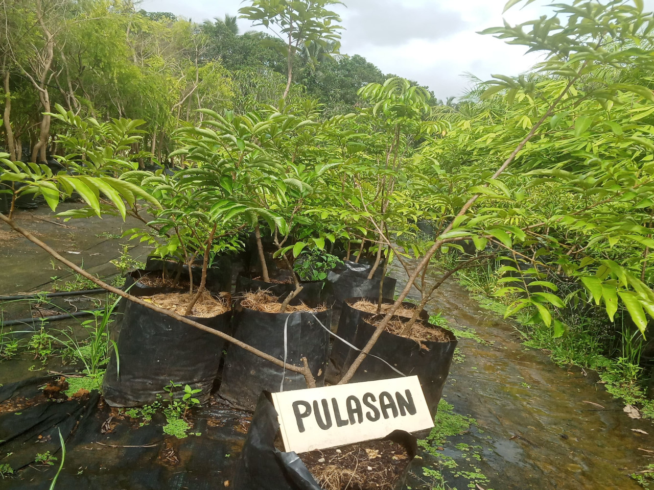 Subcategories Mannuthy Farms